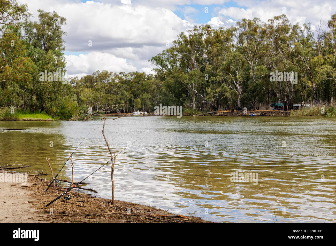 Barmah National Park near Echuca is a great place for fishing and ...