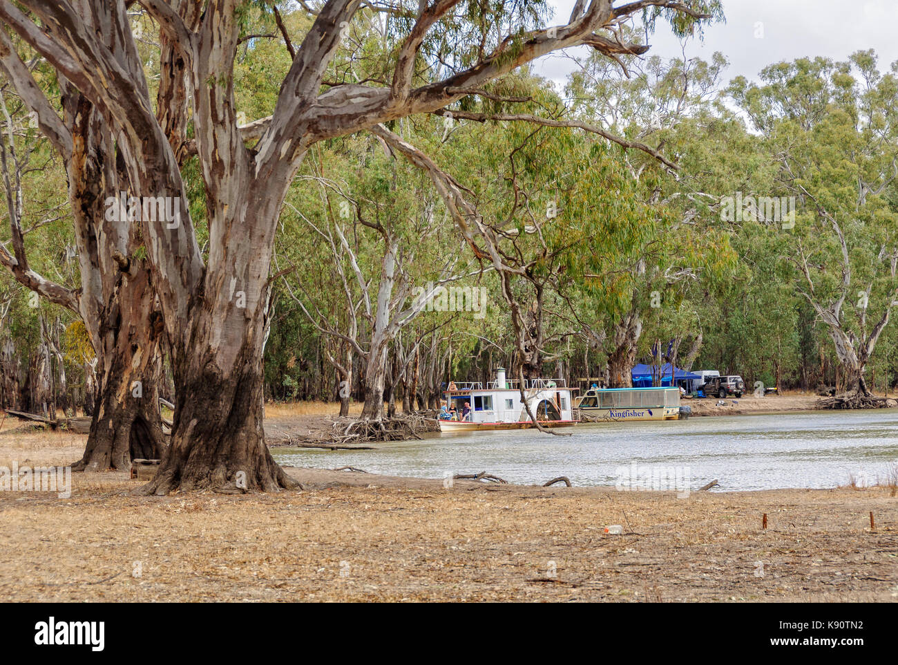 Barmah National Park near Echuca is a great place for camping - Barmah ...