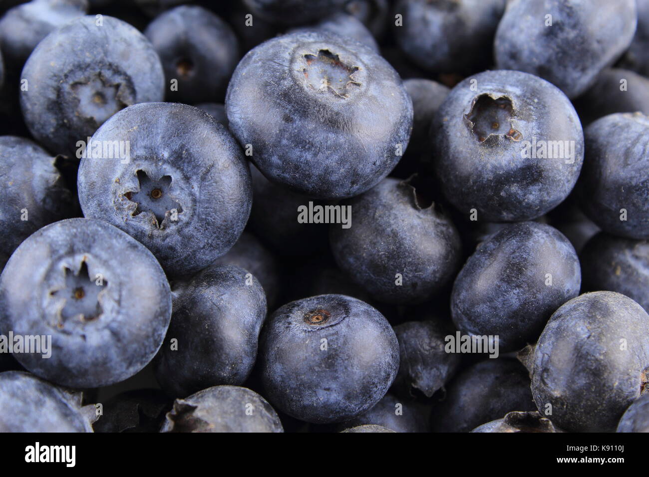 fresh blueberry fruits closeup as a food background texture Stock Photo ...