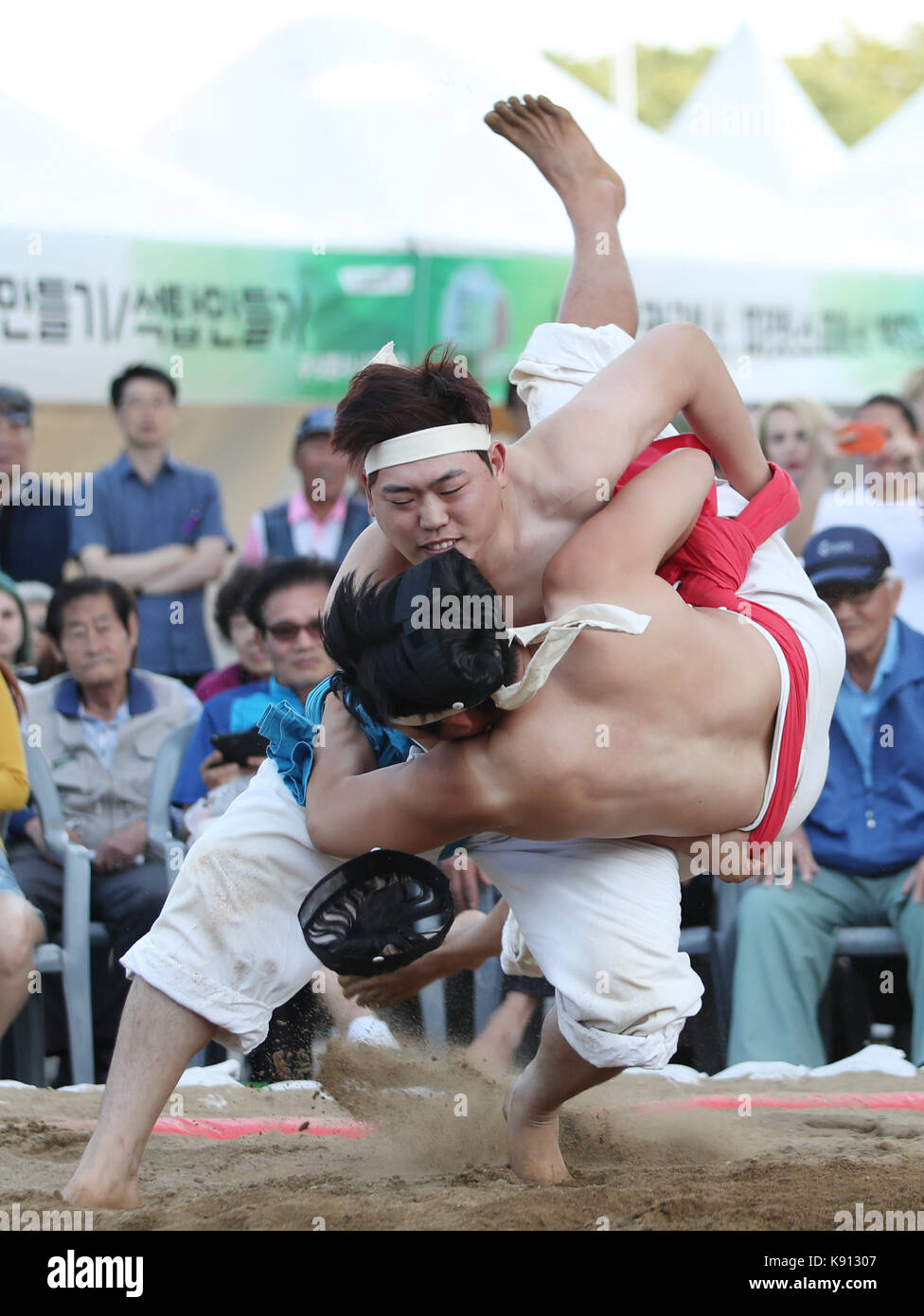 Korean wrestling competition A man overpowers his opponent in a ...