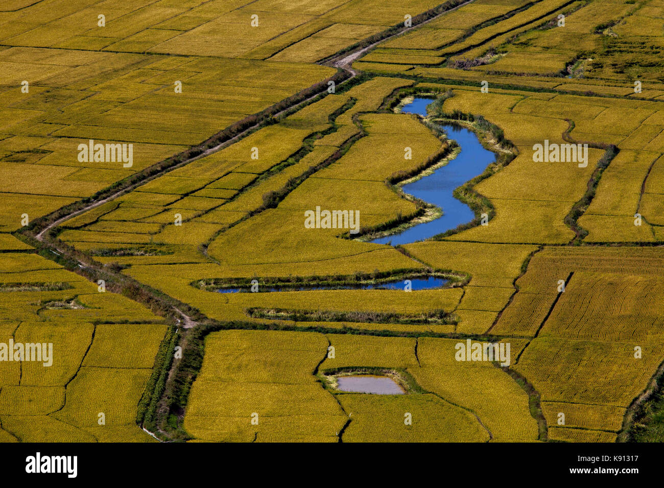 Shulan, Shulan, China. 20th Sep, 2017. Shulan, CHINA-20th September ...
