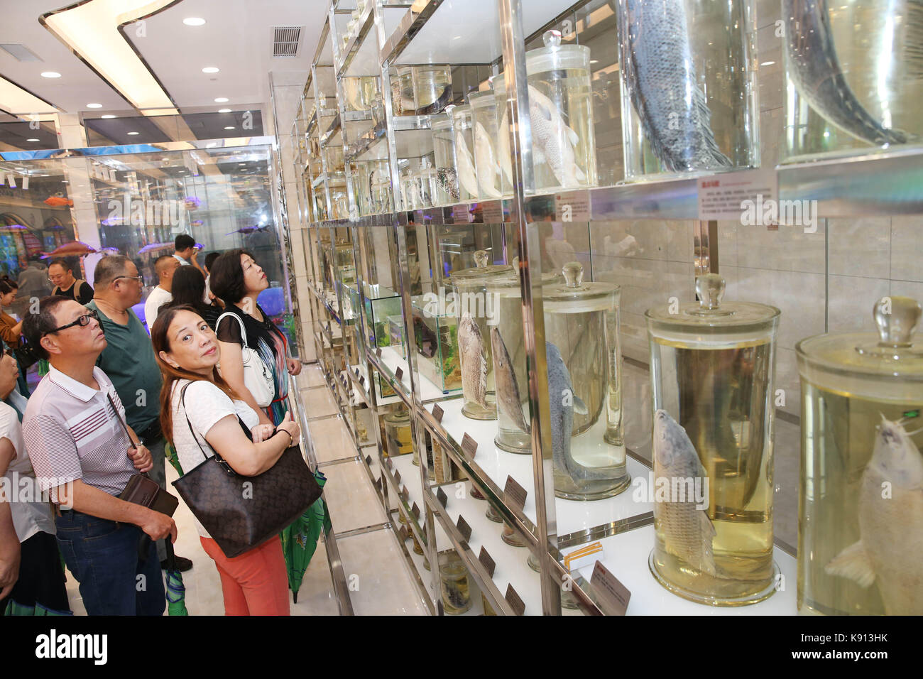 Nantong, China's Jiangsu Province. 20th Sep, 2017. Tourists view fish ...