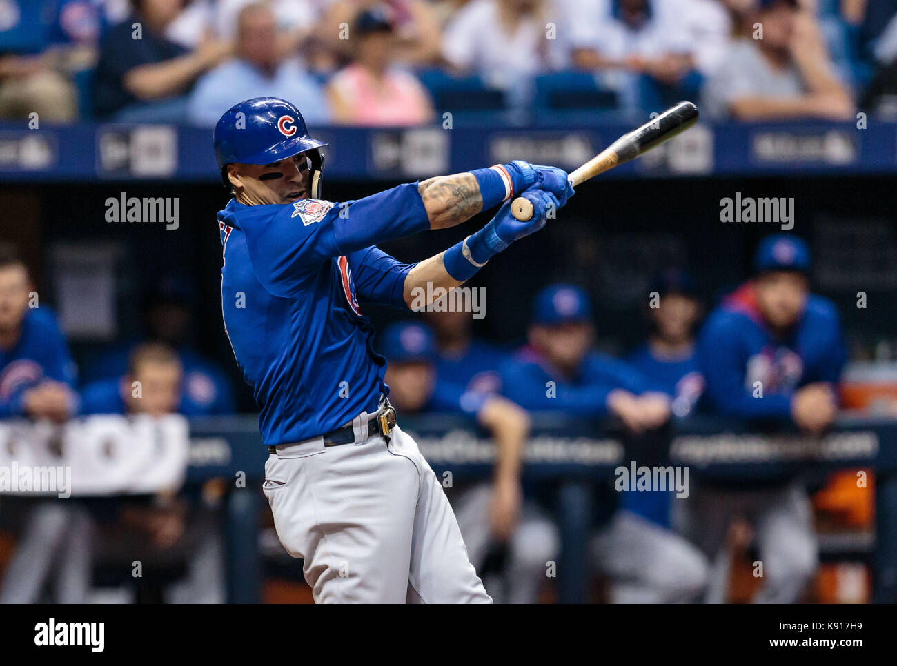 Tropicana Field. 20th Sep, 2017. Florida, USA- Chicago Cubs second ...