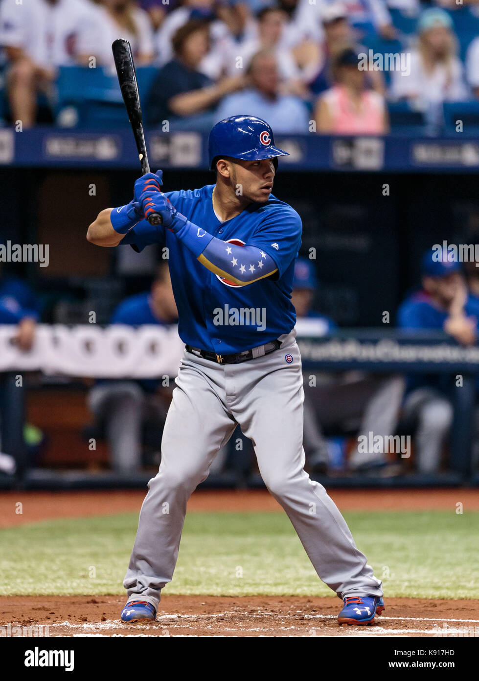 Tropicana Field. 20th Sep, 2017. Florida, USA- Chicago Cubs catcher ...
