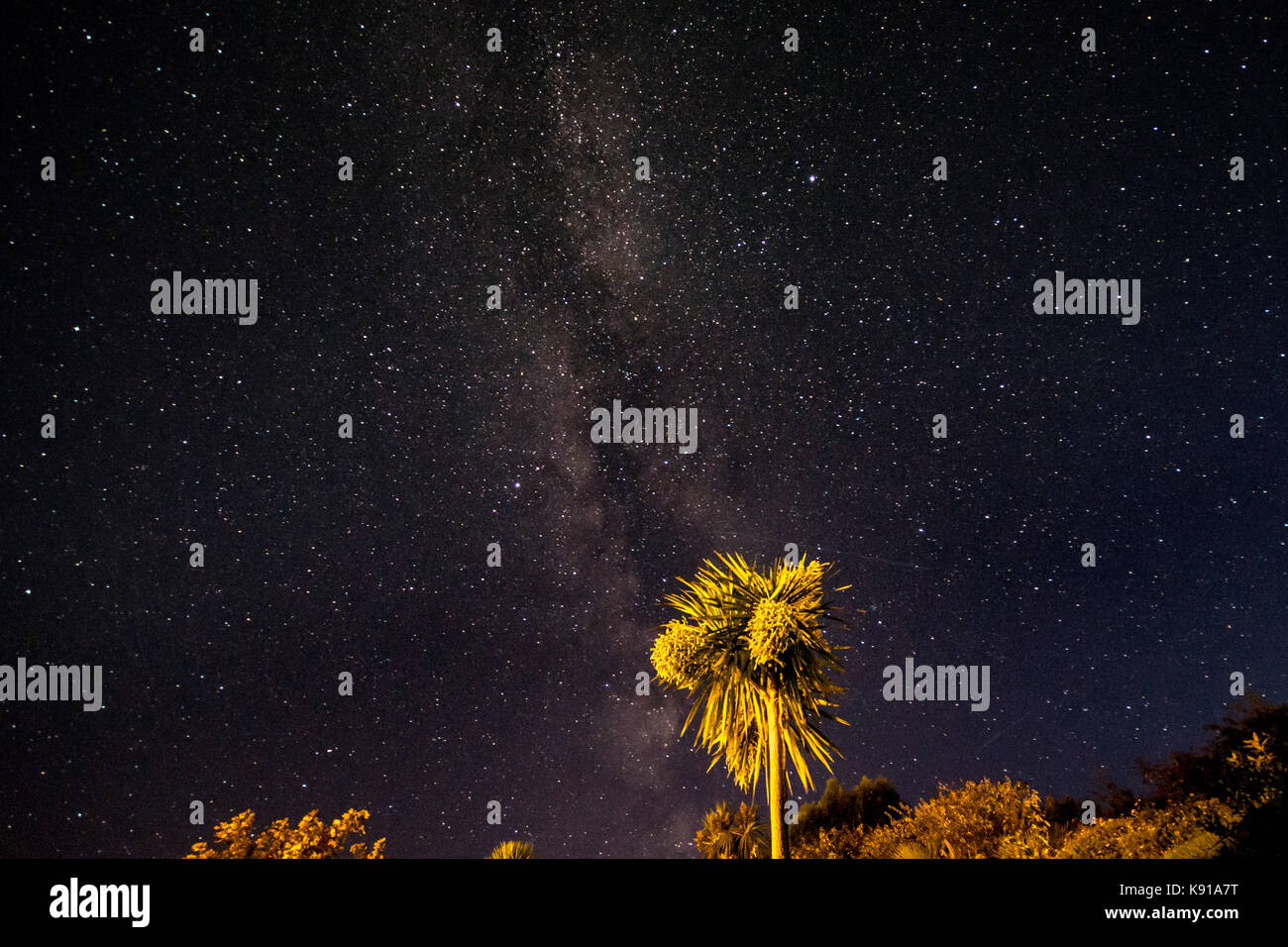 Revealing myriad stars night sky photographers back garden credit hi ...