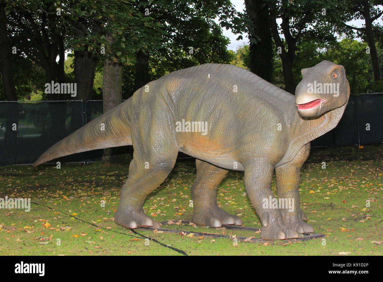 Dimetrodon teeth hi-res stock photography and images - Alamy