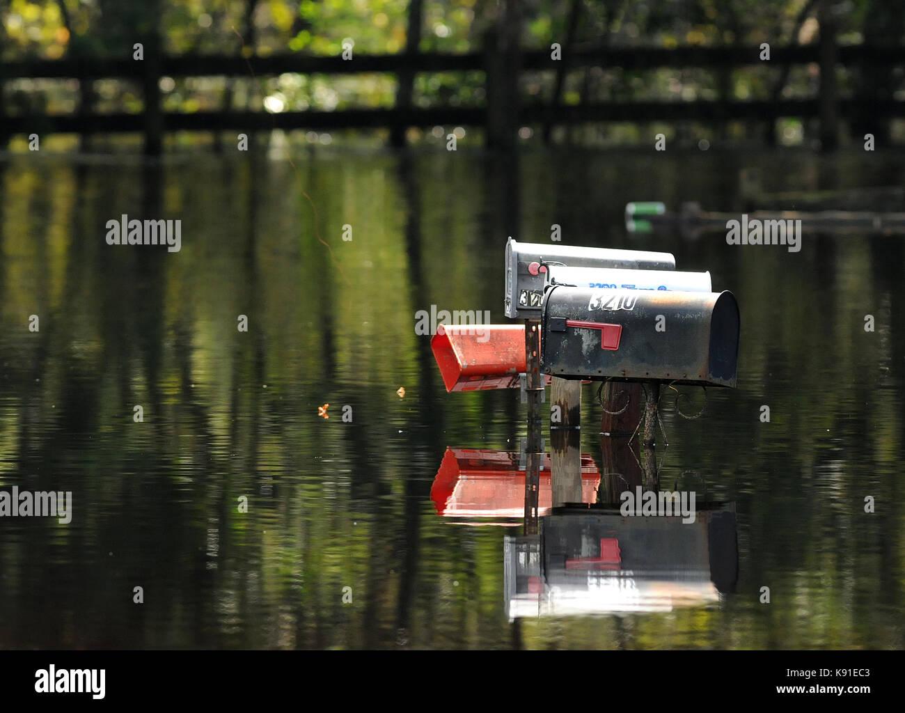 Dade City, United States. 21st Sep, 2017. September 21, 2017- Dade City ...