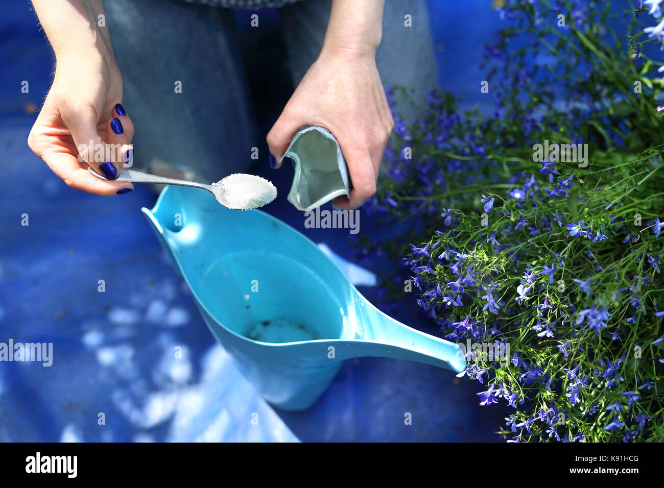 Spring in the garden, plant care.The gardener wateres flowers with ...