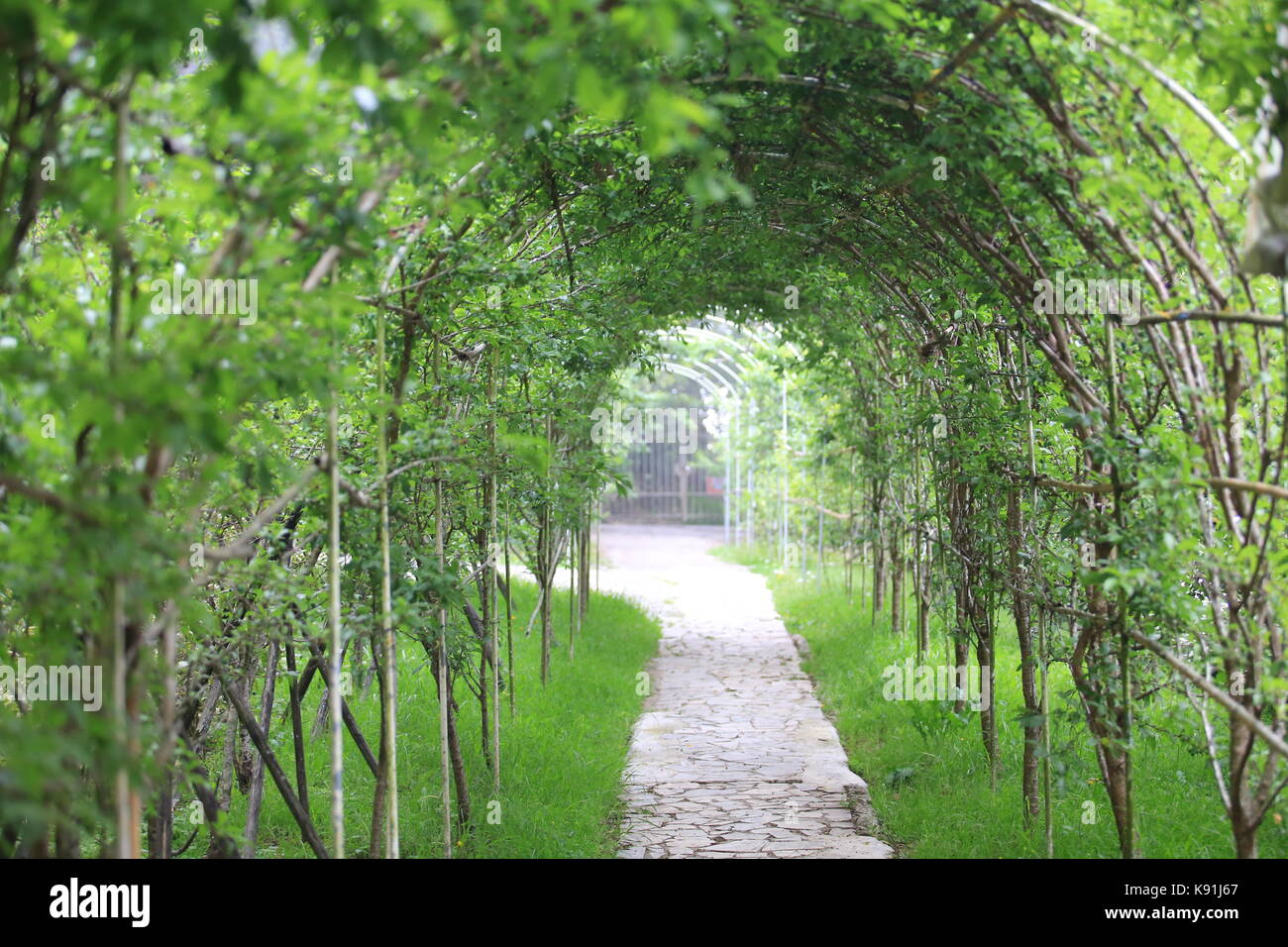 green garden channel Stock Photo - Alamy