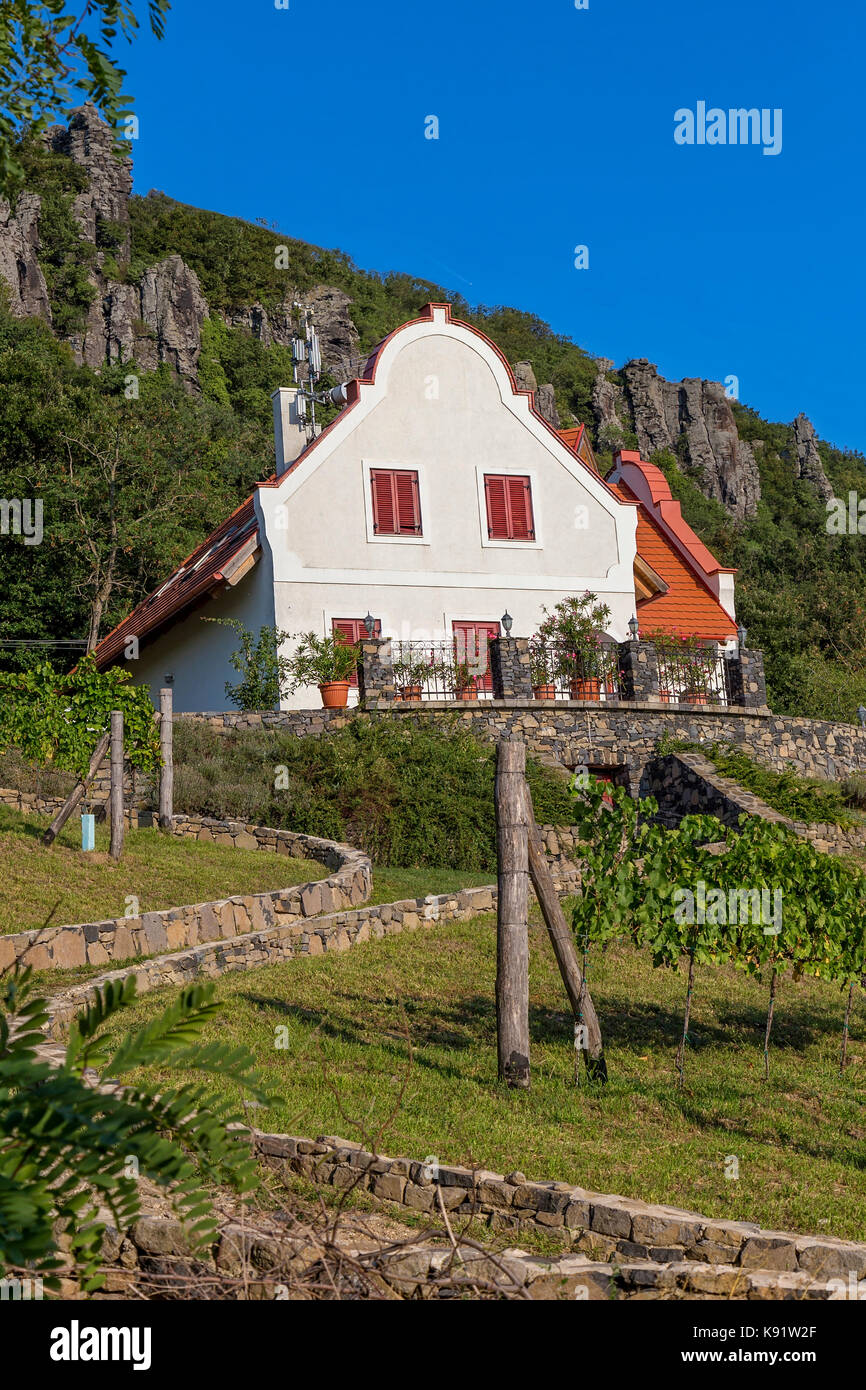 Landscape with typical house from Hungary on the mountain Badacsony ...