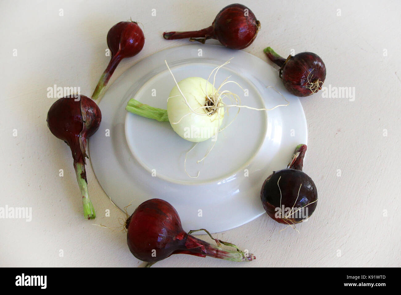 Onion metaphor hi-res stock photography and images - Alamy