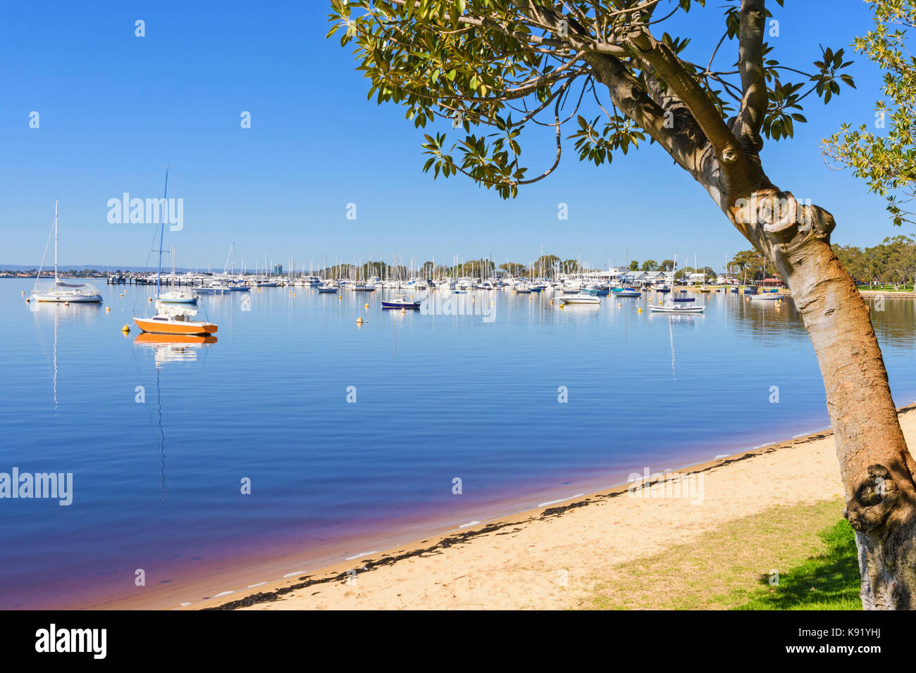 Tree framed view of the small sand beach at Matilda Bay on the Swan ...