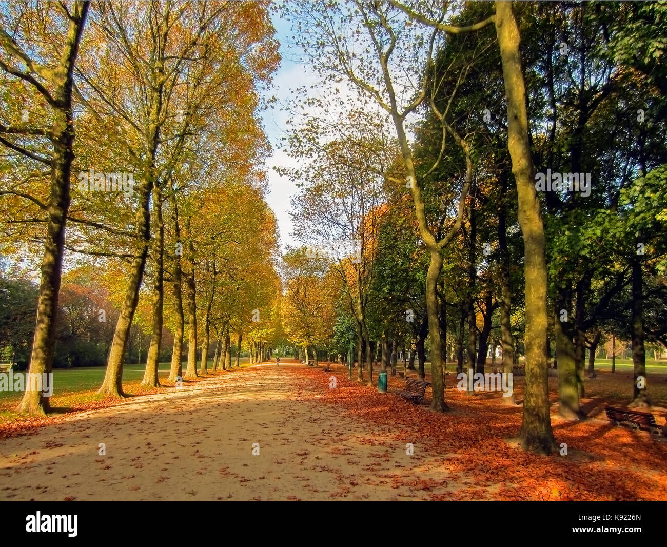 Brussels park autumn hi-res stock photography and images - Alamy