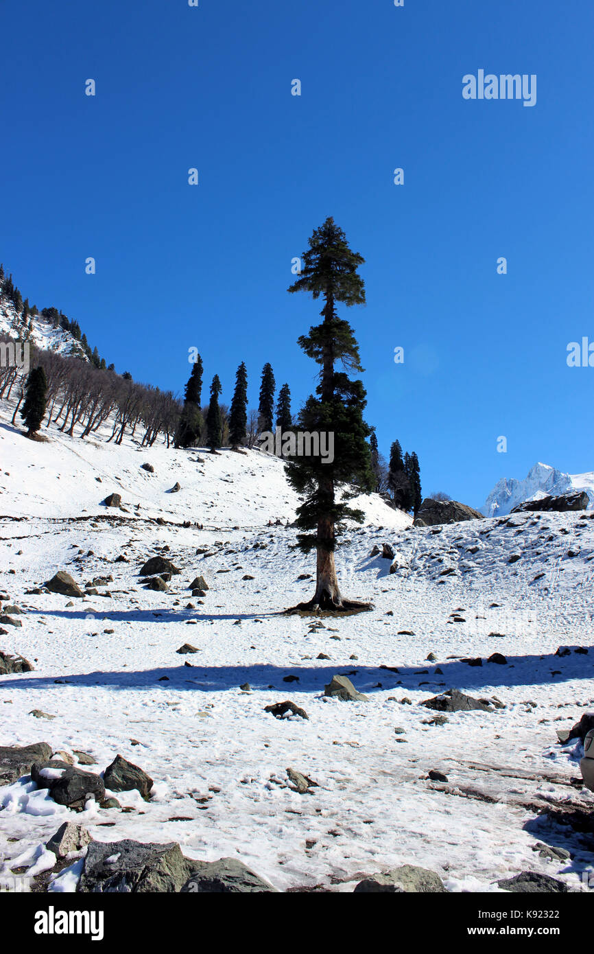 Sonmarg snow hi-res stock photography and images - Alamy
