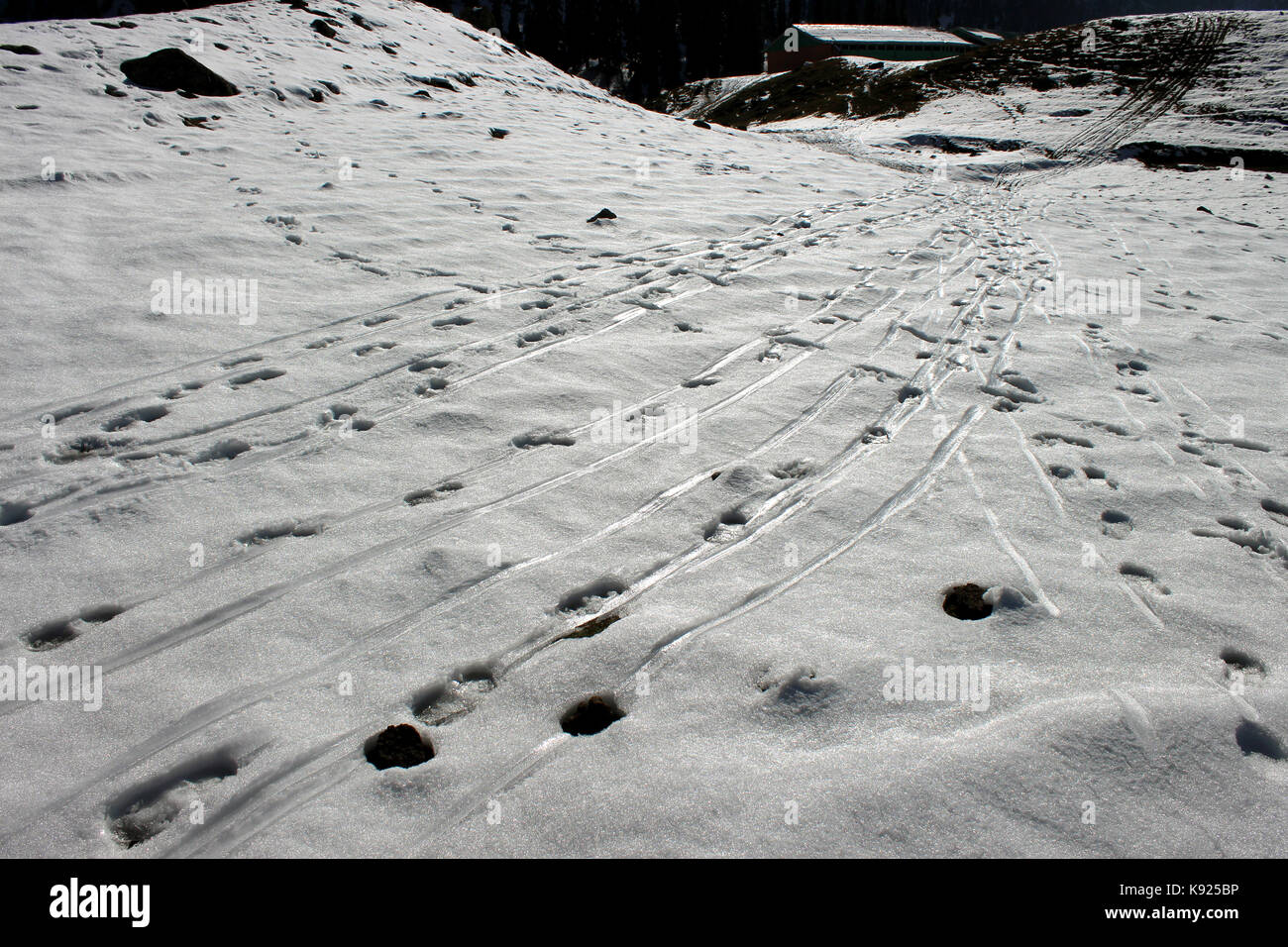 Car track marks on snow hi-res stock photography and images - Alamy