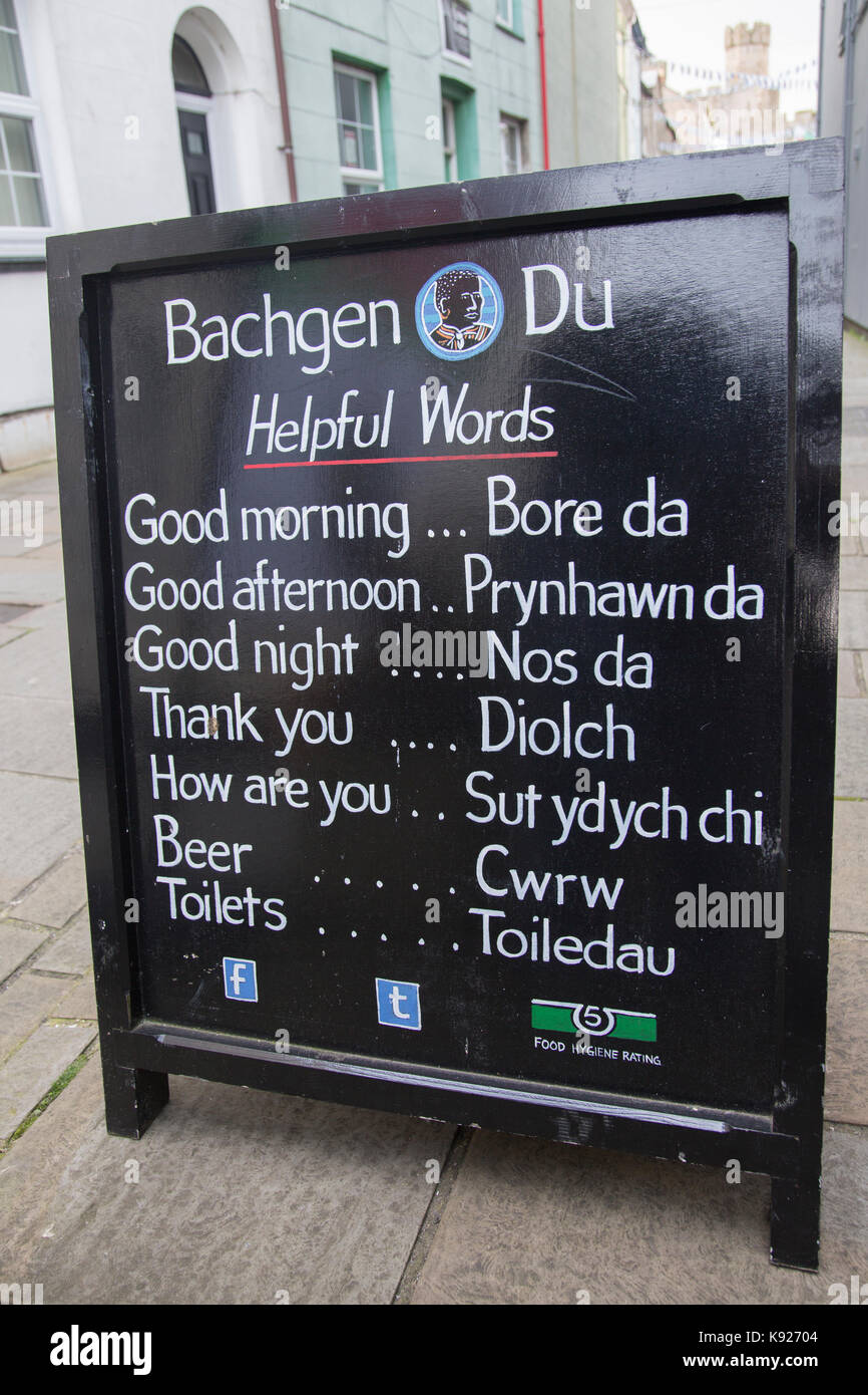 Black Boy Pub Welsh Language Sign; Caernarfon; Wales Stock Photo - Alamy