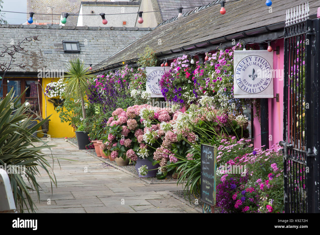 Pretty Things Florist, Beaumaris, Anglesey, Wales, UK Stock Photo - Alamy