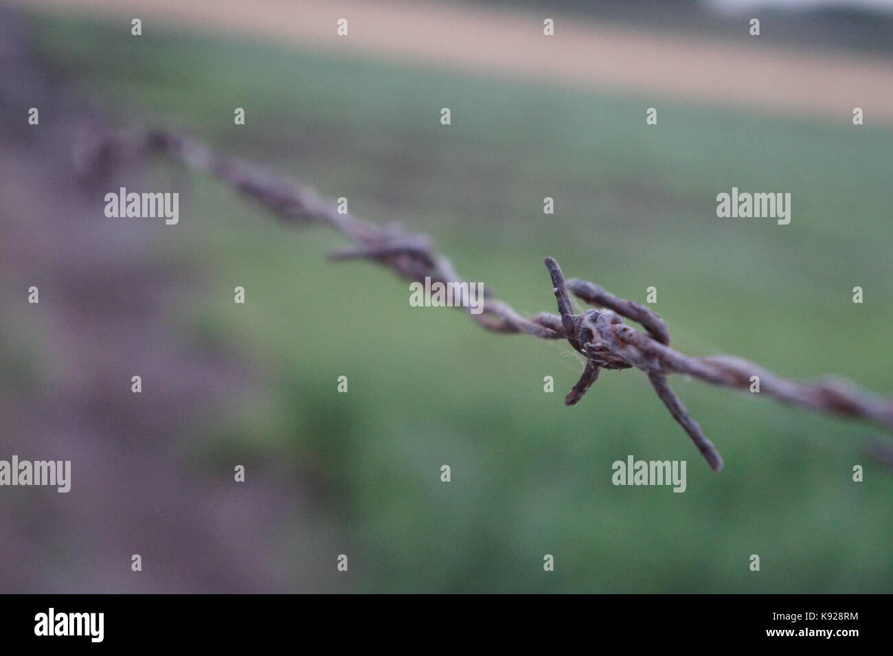 Wire er hi-res stock photography and images - Alamy