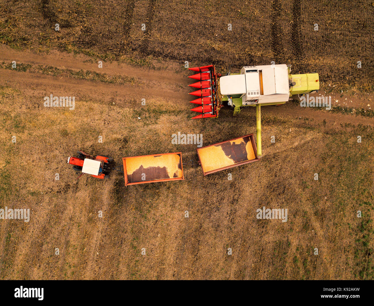 Corn maize harvest, aerial view of tractor and combine harvester ...