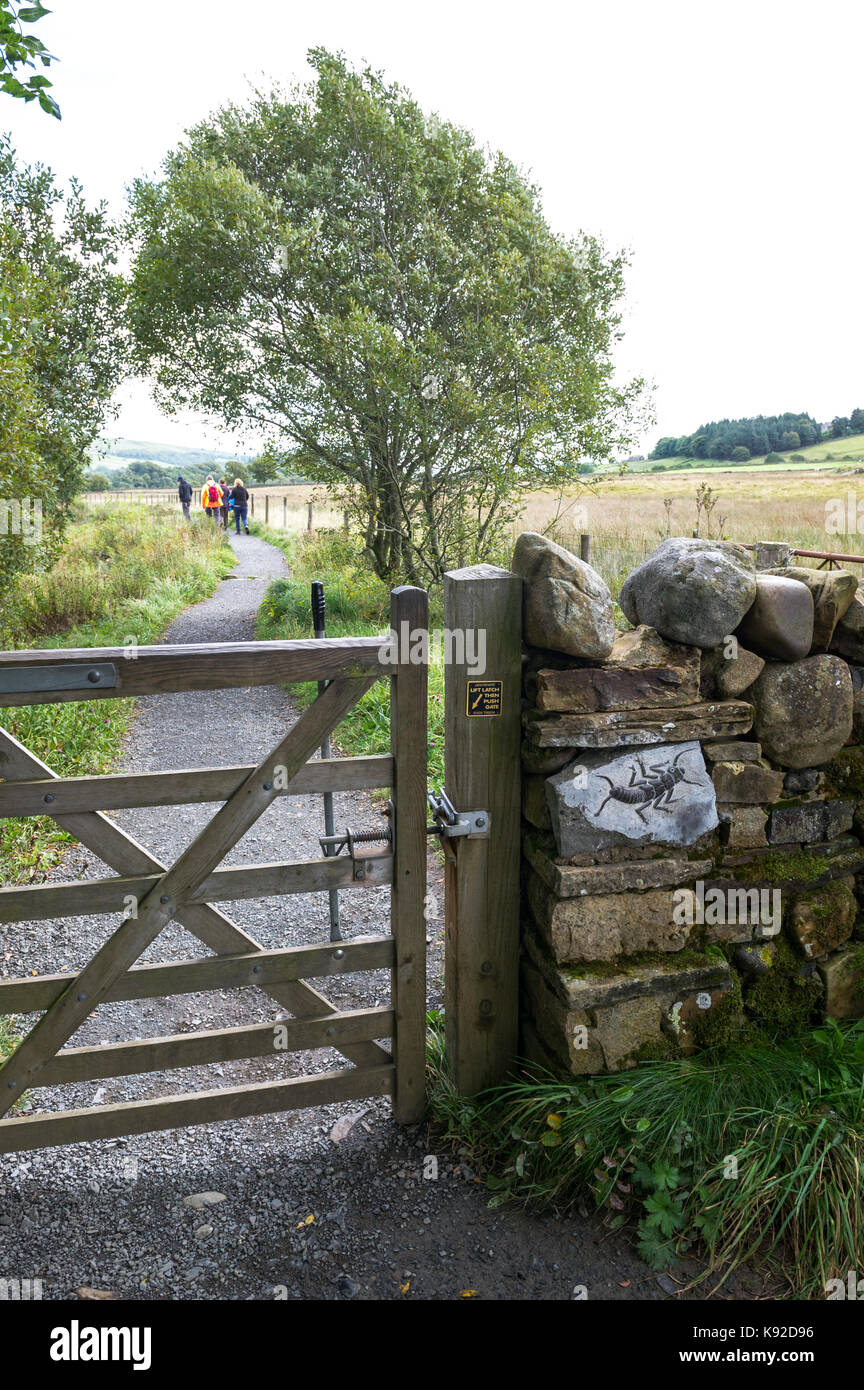 Walking in the north English countryside in the rain Stock Photo - Alamy