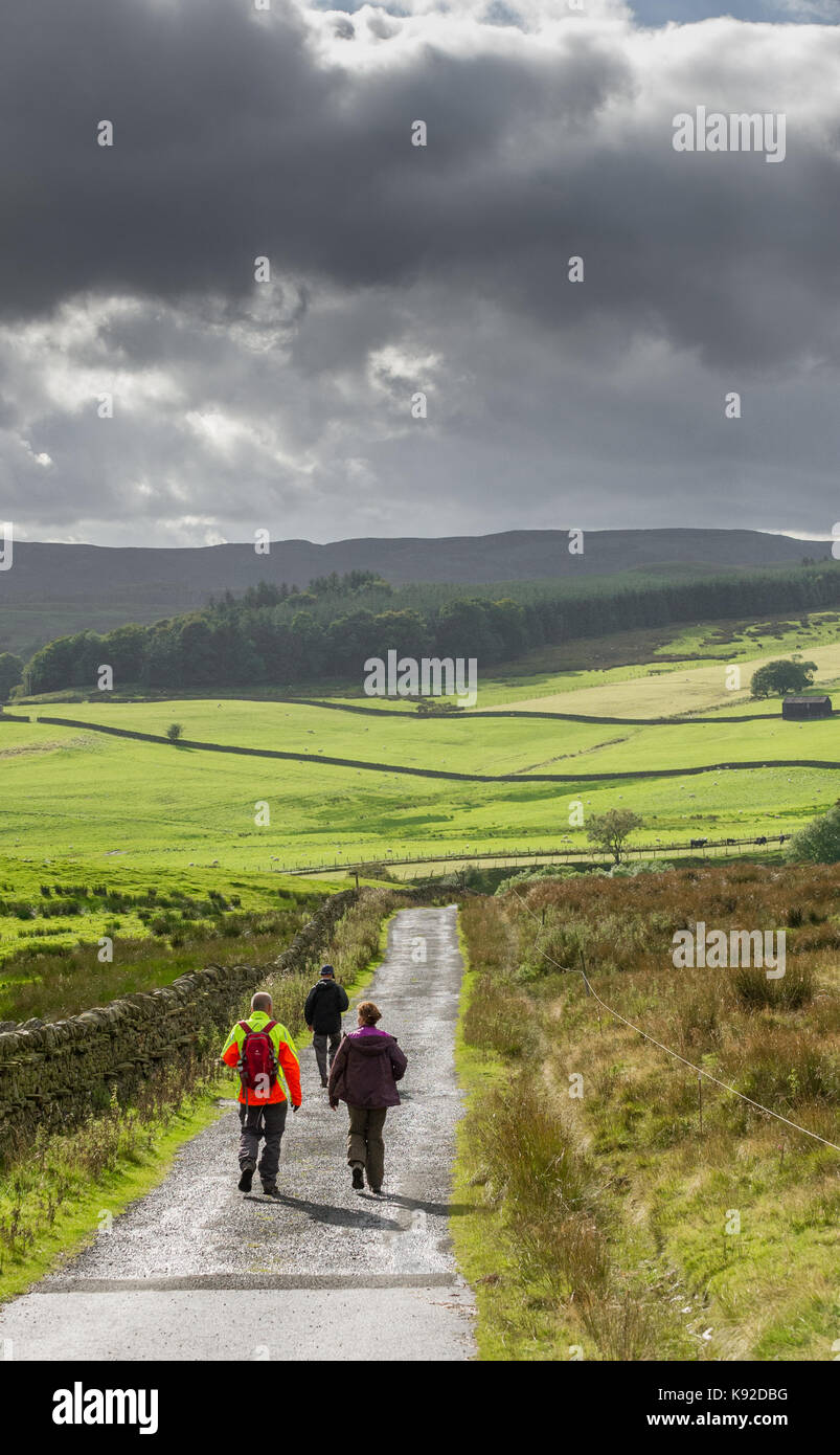 Walking in the north English countryside in the rain Stock Photo - Alamy