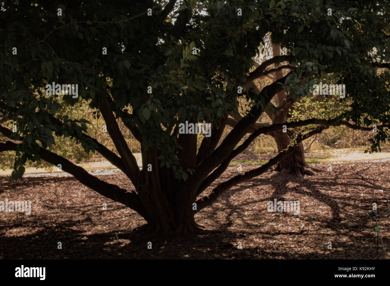 Foreground shadows hi-res stock photography and images - Alamy