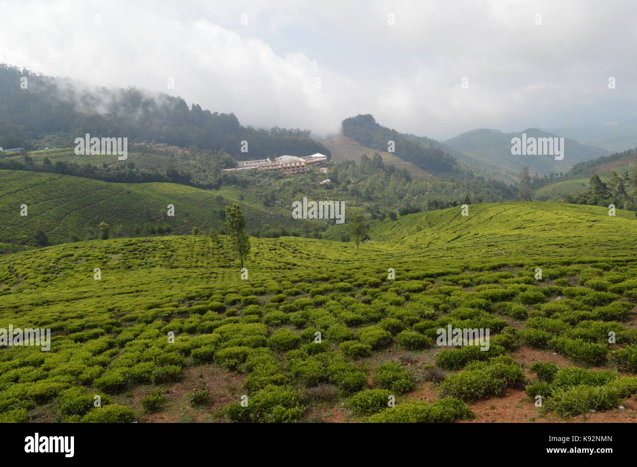 Kotagiri landscape view, India Stock Photo - Alamy
