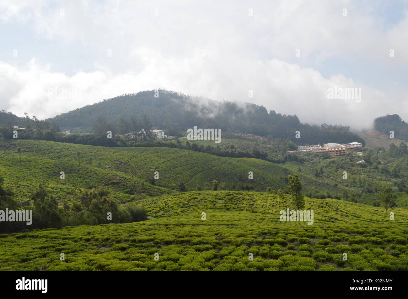 Kotagiri landscape view, India Stock Photo - Alamy