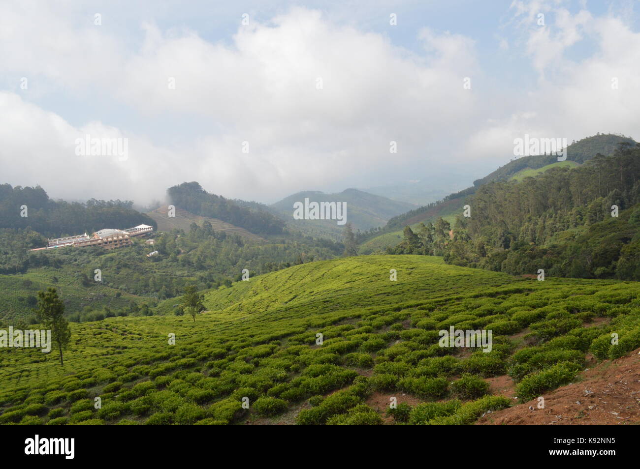 Kotagiri landscape view, India Stock Photo - Alamy