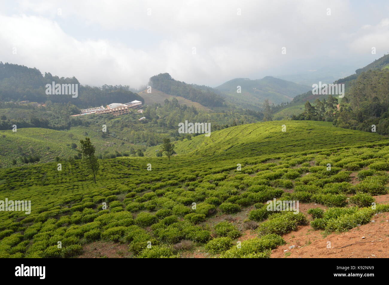 Kotagiri landscape view, India Stock Photo - Alamy