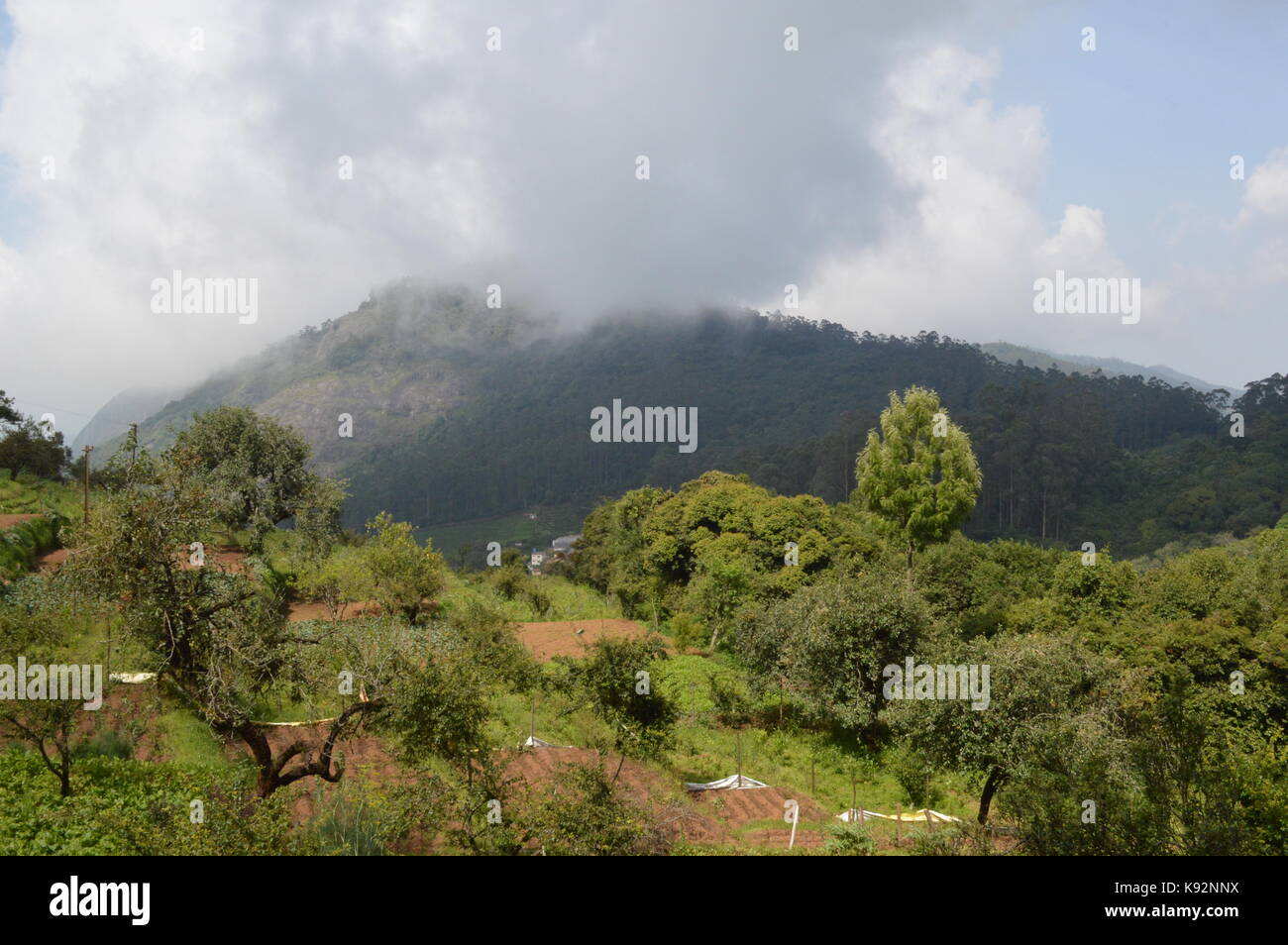 Kotagiri landscape view, India Stock Photo - Alamy