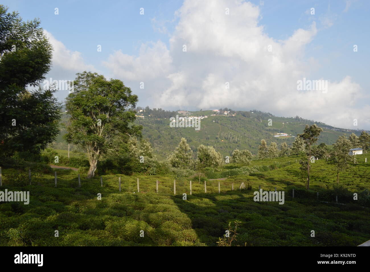 Kotagiri landscape view, India Stock Photo - Alamy