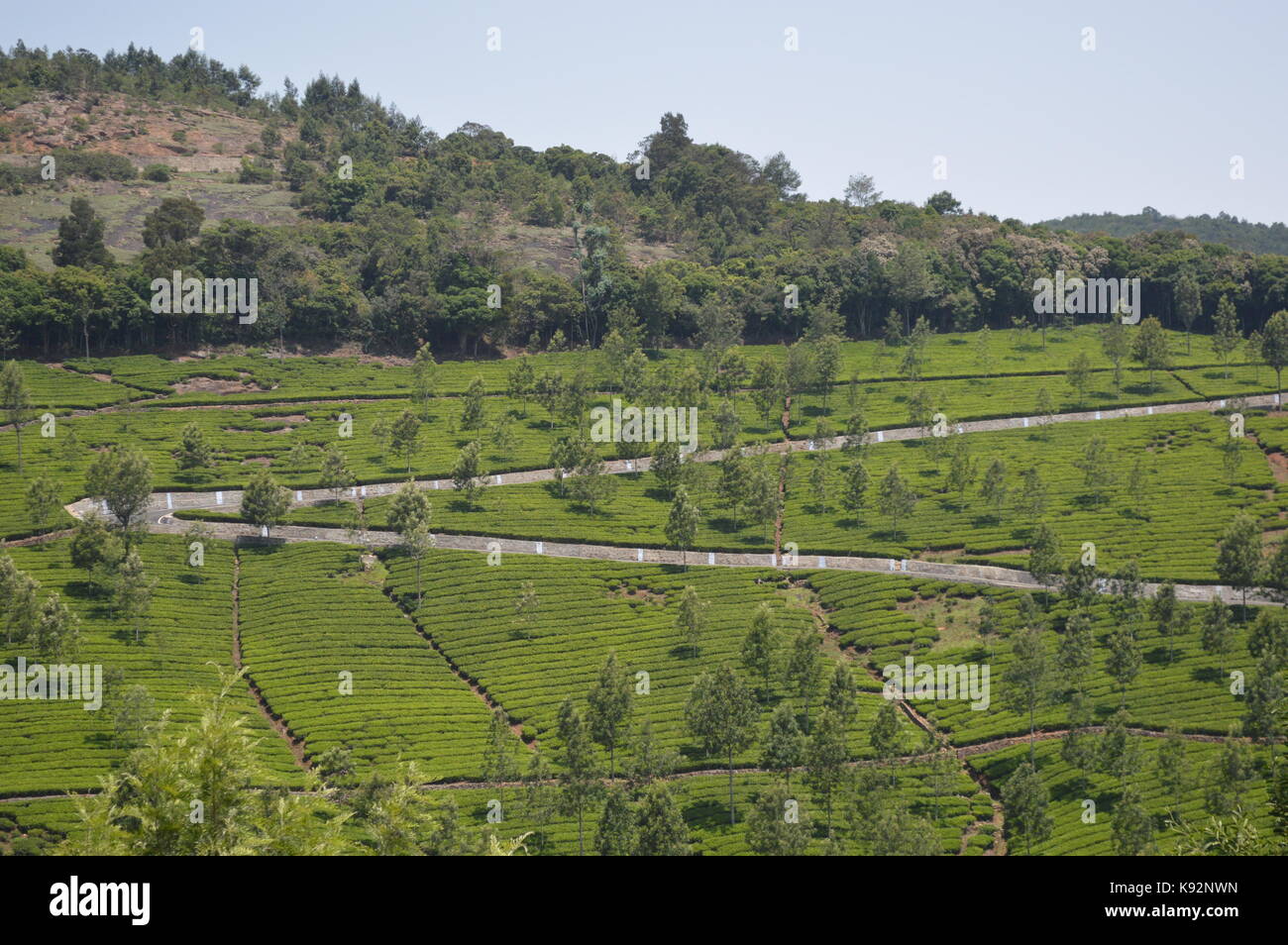 Kotagiri landscape view, India Stock Photo - Alamy