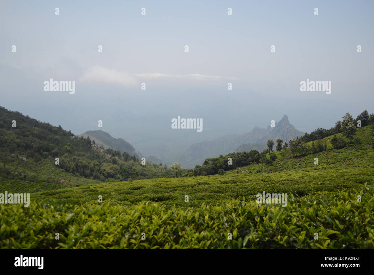 Kotagiri landscape view, India Stock Photo - Alamy