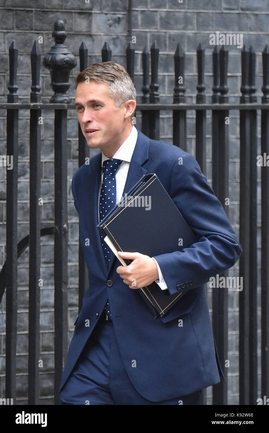 Chief Whip Gavin Williamson arriving in Downing Street, London, for a ...