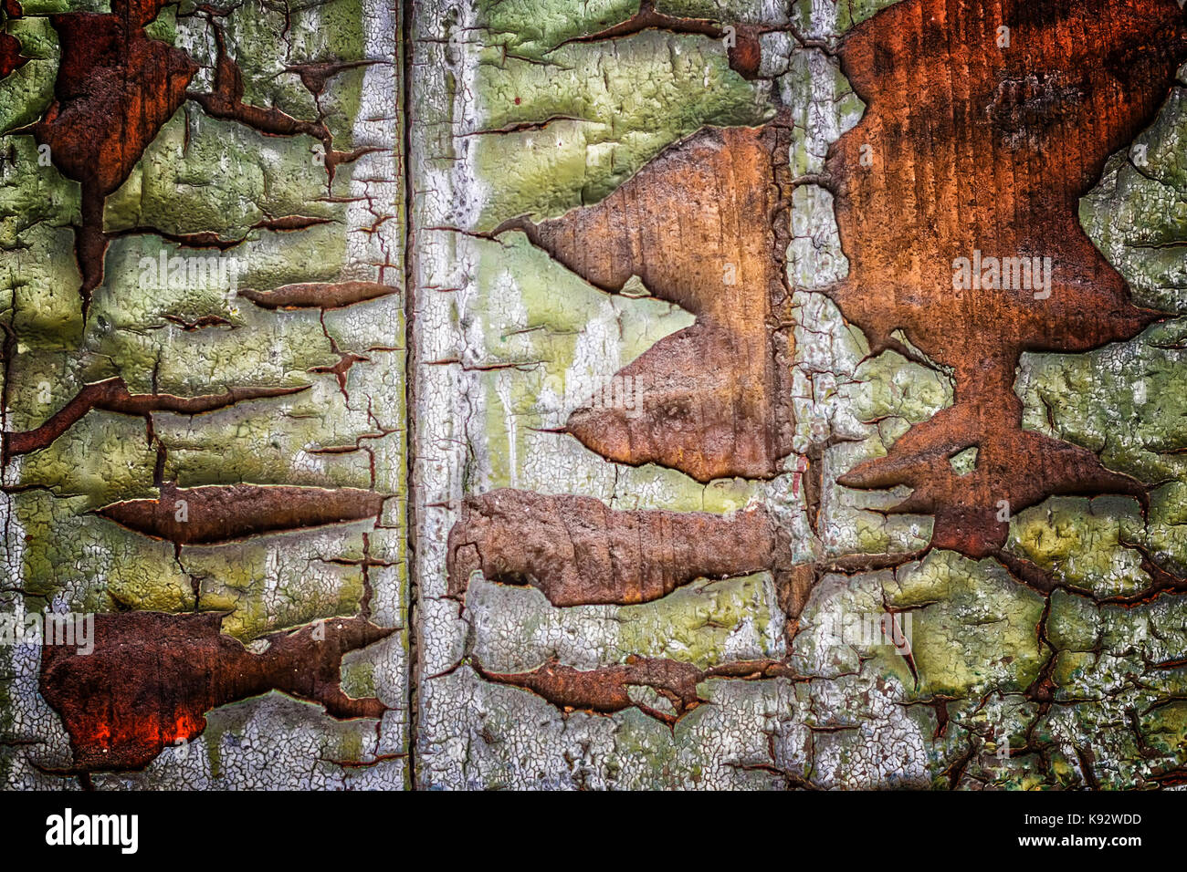 Rustic wood texture with natural patterns surface as background Stock ...