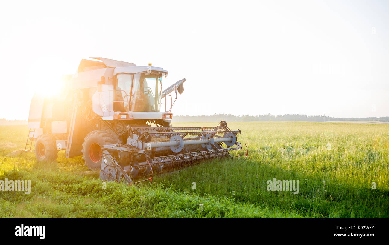 Combine harvester at work in field Stock Photo - Alamy