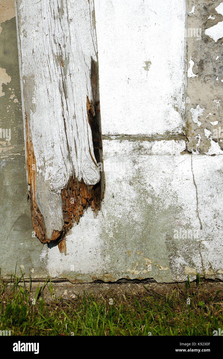 Timber dry rot hi-res stock photography and images - Alamy