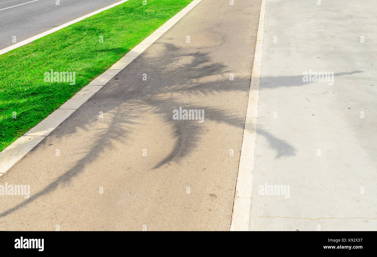Shadow from a palm tree on the sidewalk Stock Photo - Alamy