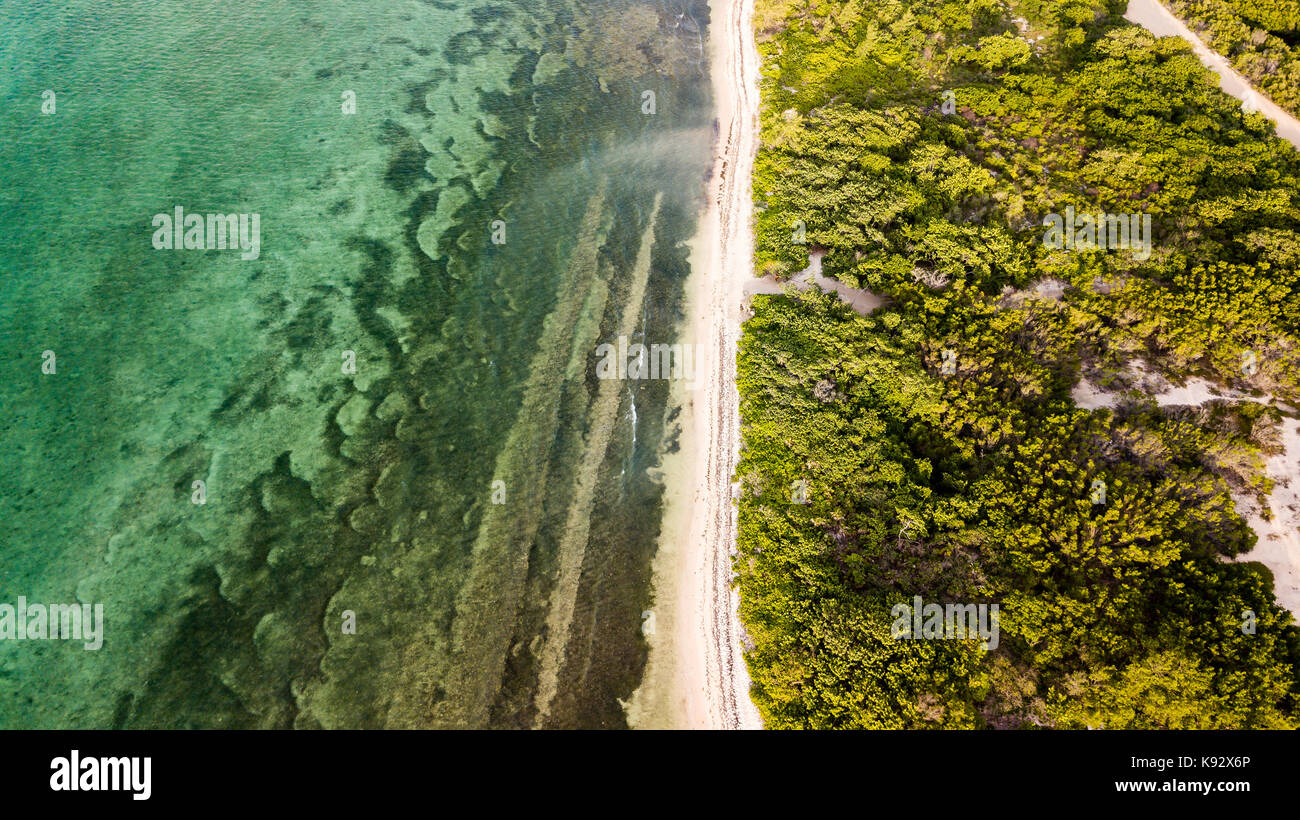 Aerial view of a remote tropical beach surrounded by forest Stock Photo ...