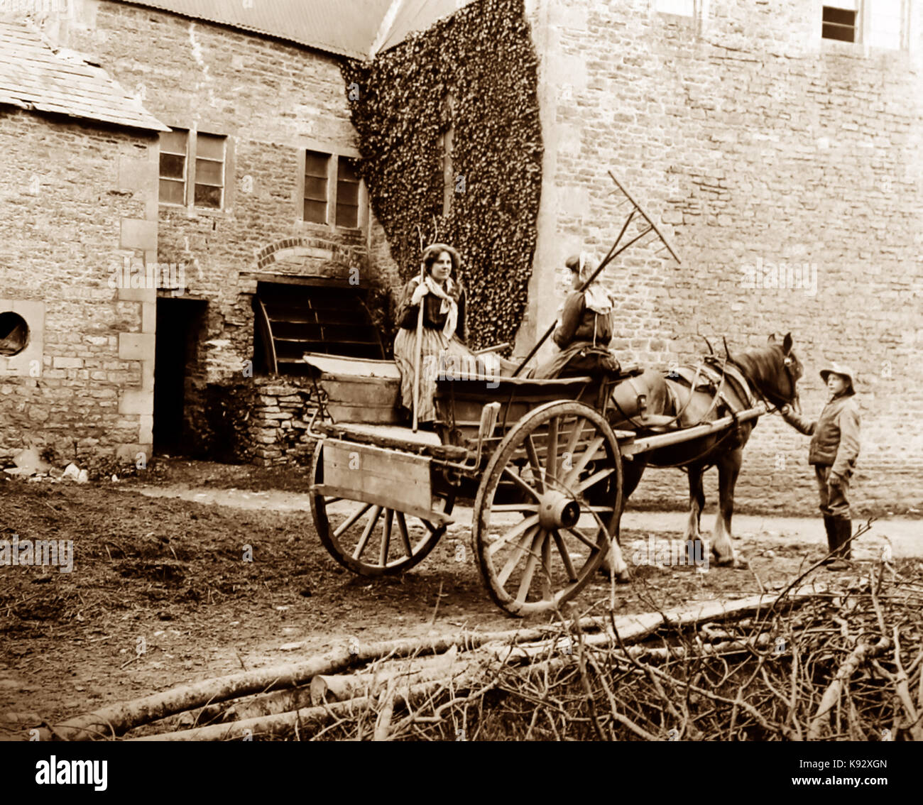 Edwardian Farming Stock Photos & Edwardian Farming Stock Images - Alamy
