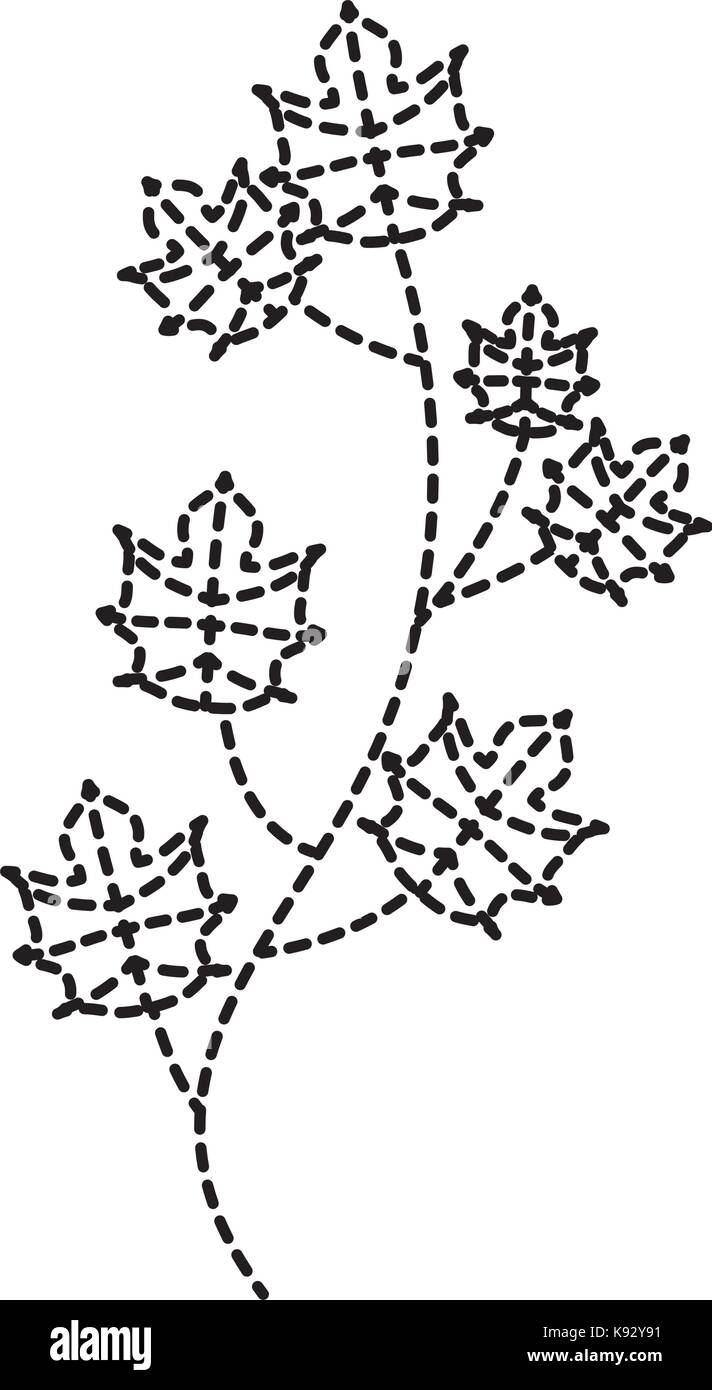 autumn tree branch leaves foliage botanical image Stock Vector Image ...