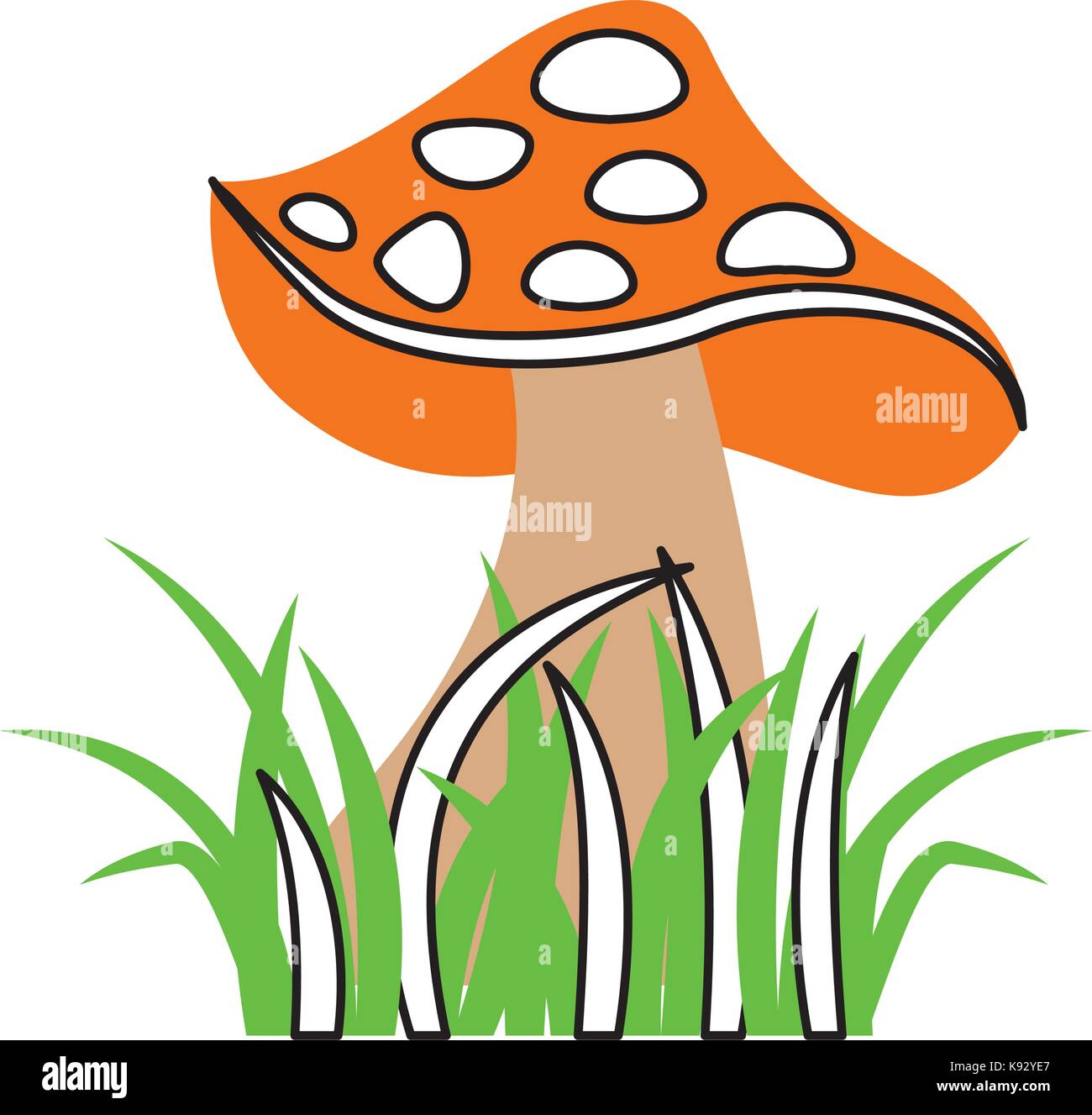 Decomposers Fungi Cartoon