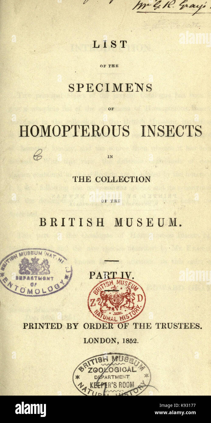 Homopterous insect hi-res stock photography and images - Alamy