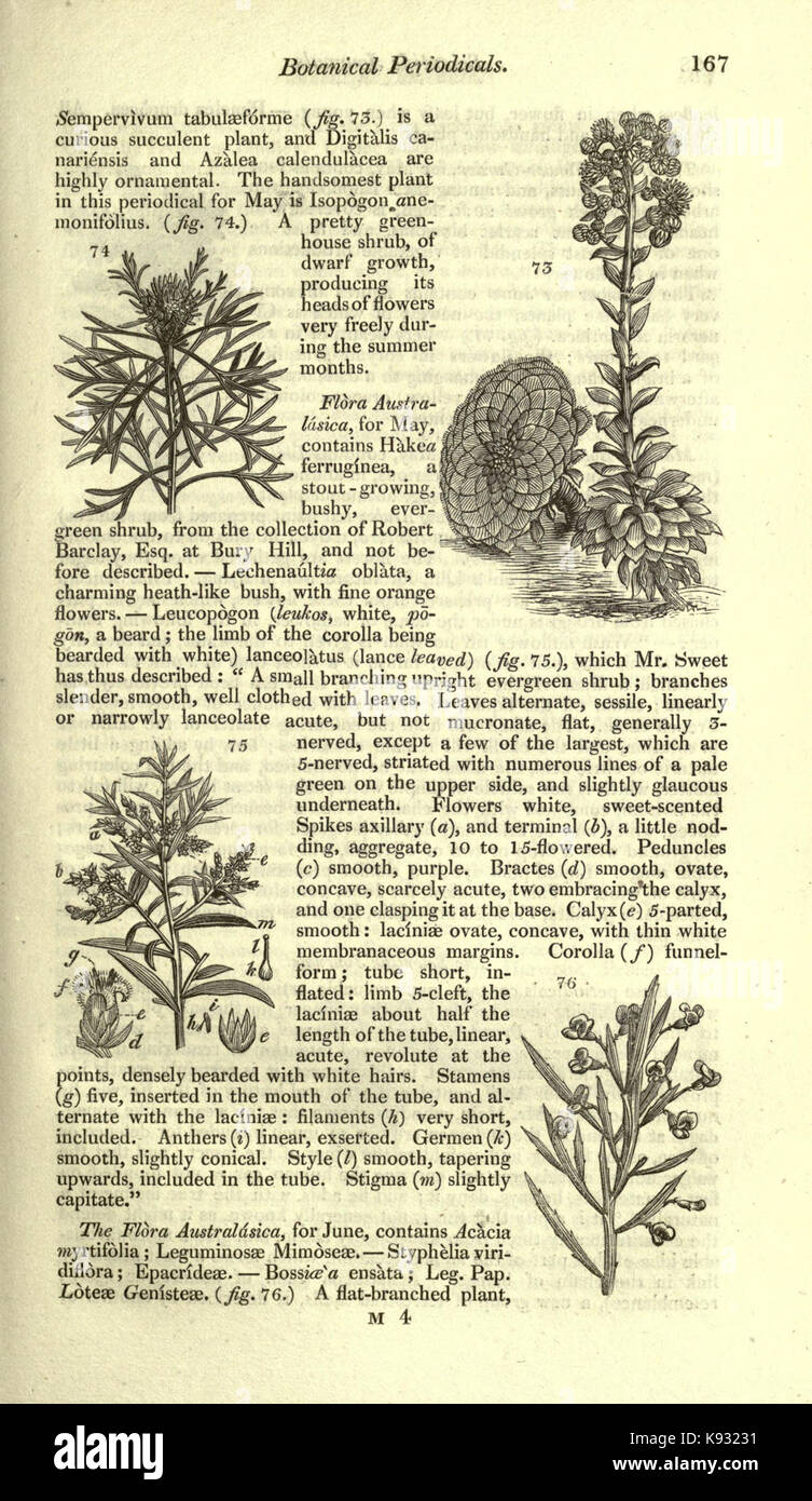 Magazine of natural history and journal of zoology, botany, mineralogy ...
