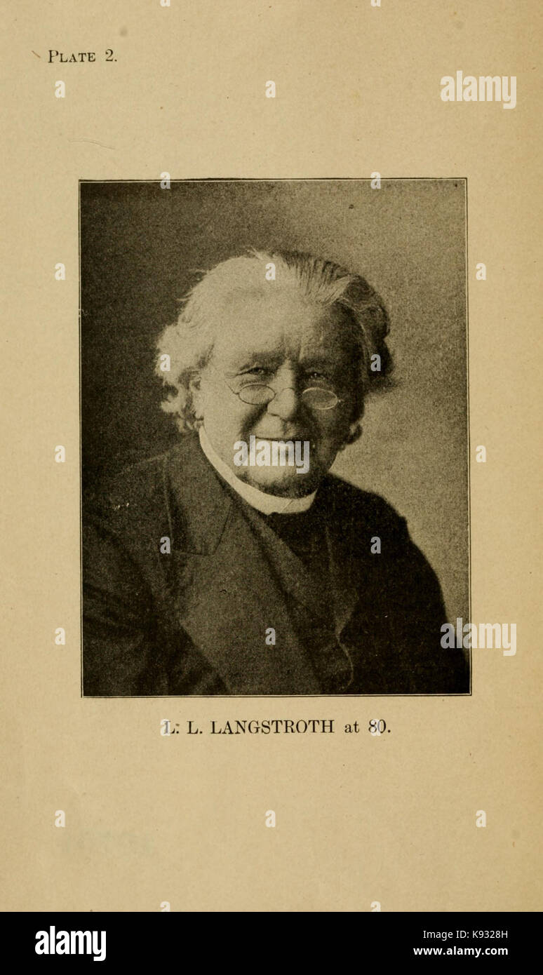 Langstroth on the hive and honey bee BHL18287907 Stock Photo - Alamy