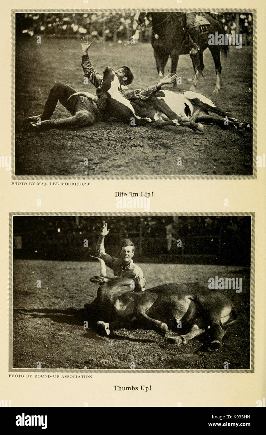 Let 'er buck BHL18506961 Stock Photo - Alamy