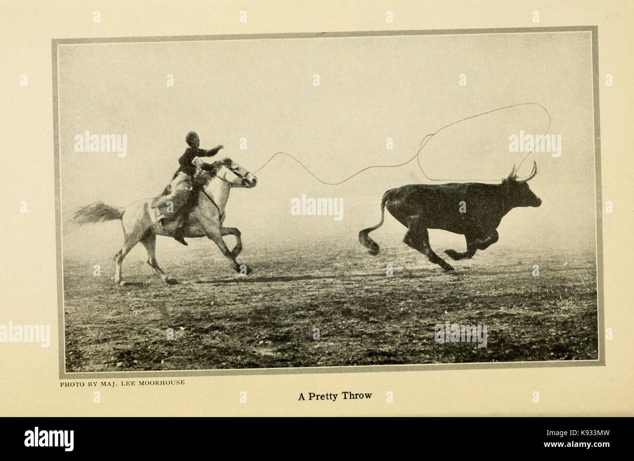 Let 'er buck BHL18506943 Stock Photo - Alamy