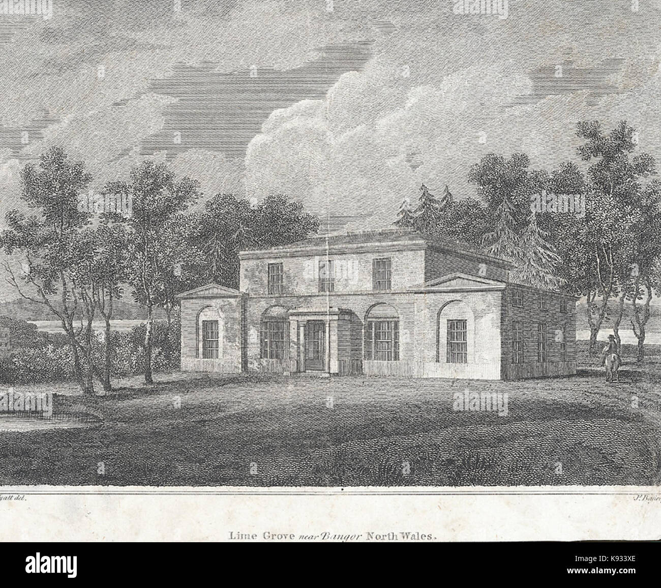 Lime grove hi-res stock photography and images - Alamy