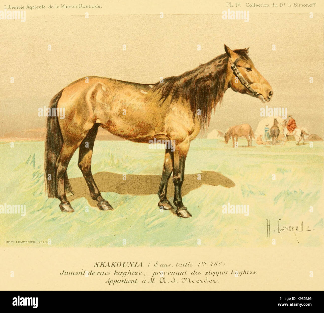 Les races chevalines BHL22833020 Stock Photo - Alamy